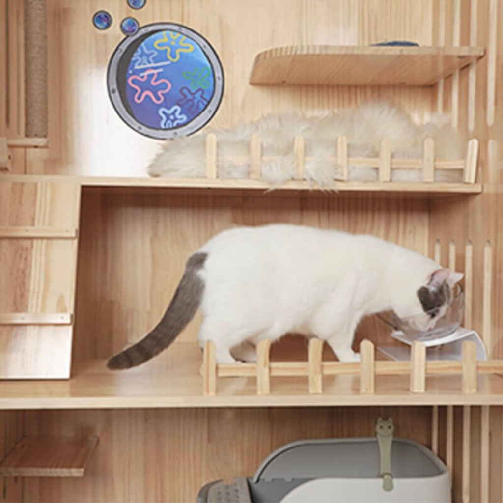 How To Create A Cozy And Safe Space For Your Feline Friend With The La