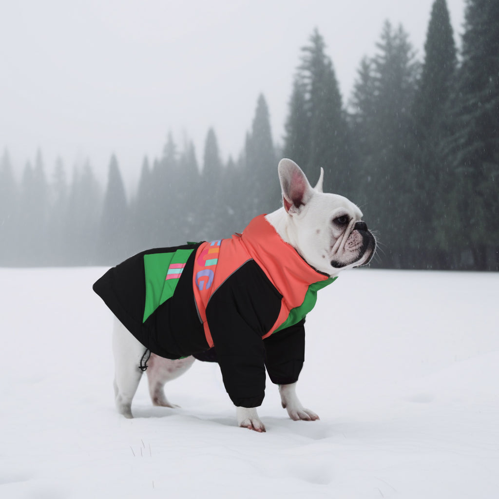 Laifug Stand Collar Two Legs Dog Winter Coat | Waterproof Outer Polar ...